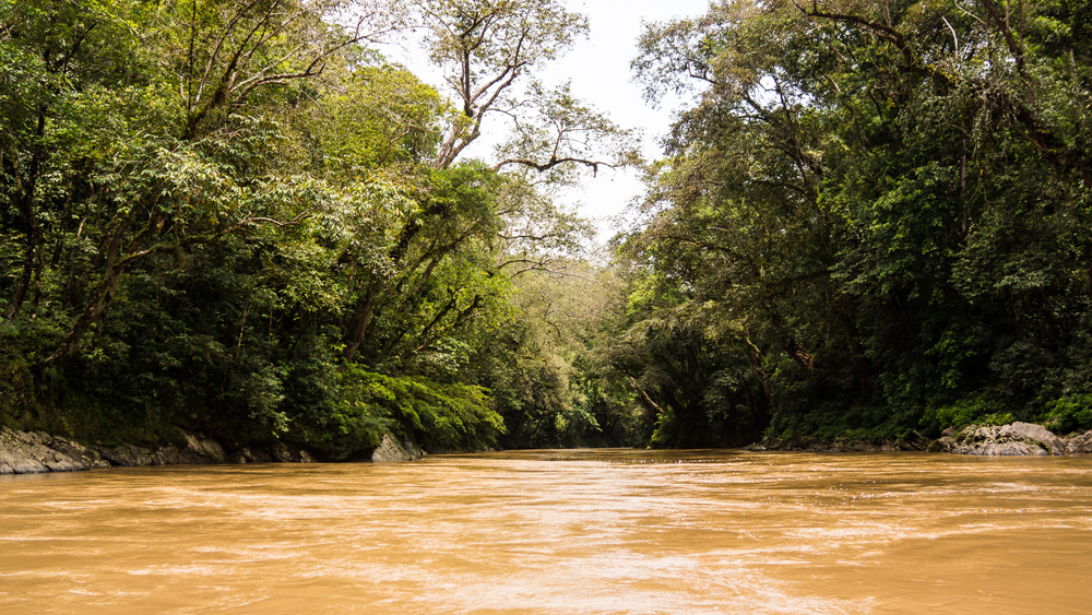 Go Indonesia :: Betung Kerihun With Many Activities To Enjoy - Go Indonesia